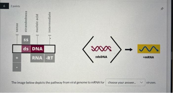 Solved The image below depicts the pathway from viral genome | Chegg.com