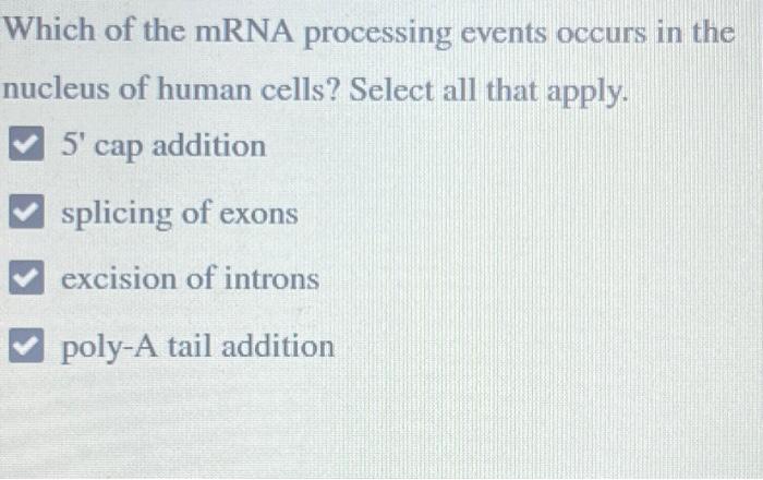 Solved Which of the mRNA processing events occurs in the | Chegg.com