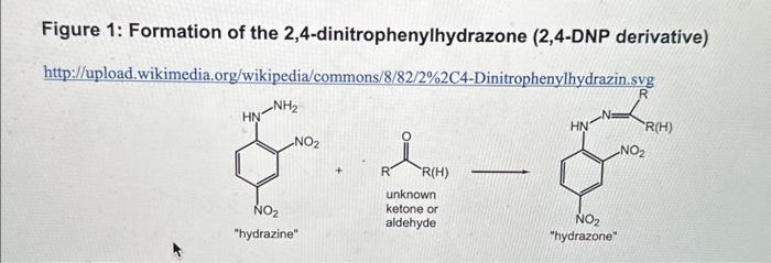 Solved Draw the mechanism for the formation of the | Chegg.com
