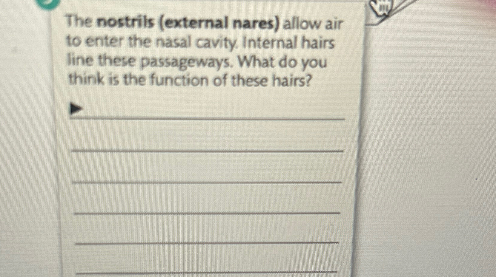 Solved The nostrils (external nares) ﻿allow air to enter the | Chegg.com