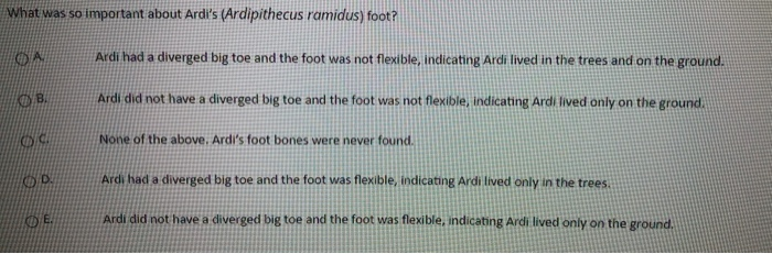 Solved What was so important about Ardi's (Ardipithecus | Chegg.com