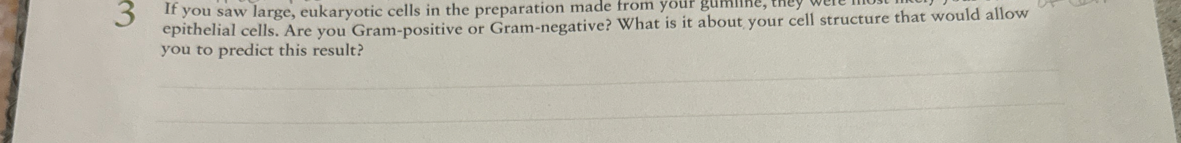 Solved 3 ﻿If you saw large, eukaryotic cells in the | Chegg.com