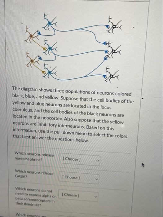 Solved The diagram shows three populations of neurons | Chegg.com