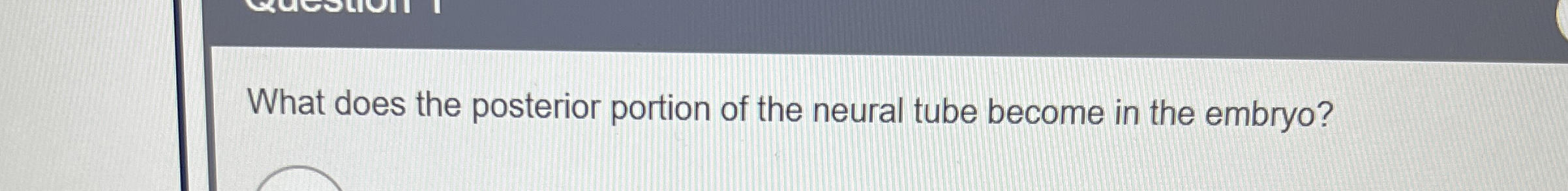 Solved What does the posterior portion of the neural tube | Chegg.com