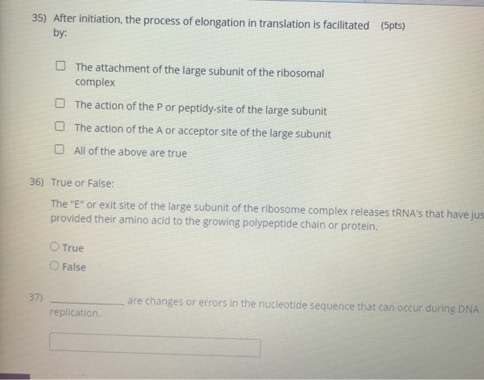 Solved 28) In eukaryotes, the "end replication problem" that | Chegg.com
