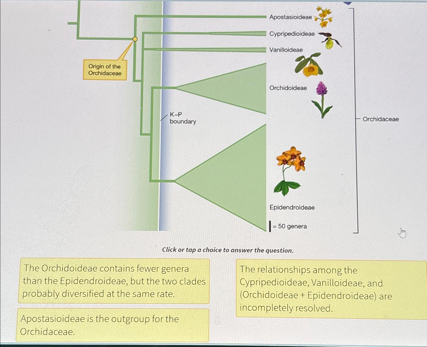 Solved Click or tap a choice to answer the question.The | Chegg.com