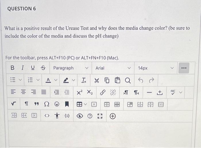 Solved QUESTION 6 What is a positive result of the Urease | Chegg.com