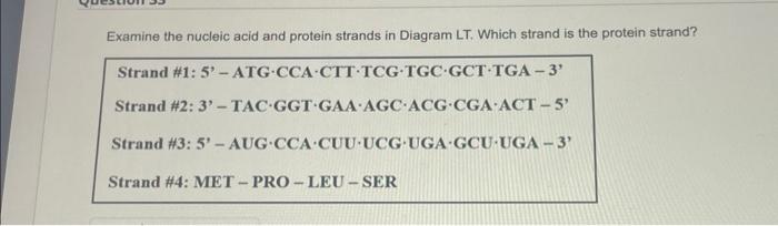 Solved Examine the nucleic acid and protein strands in | Chegg.com