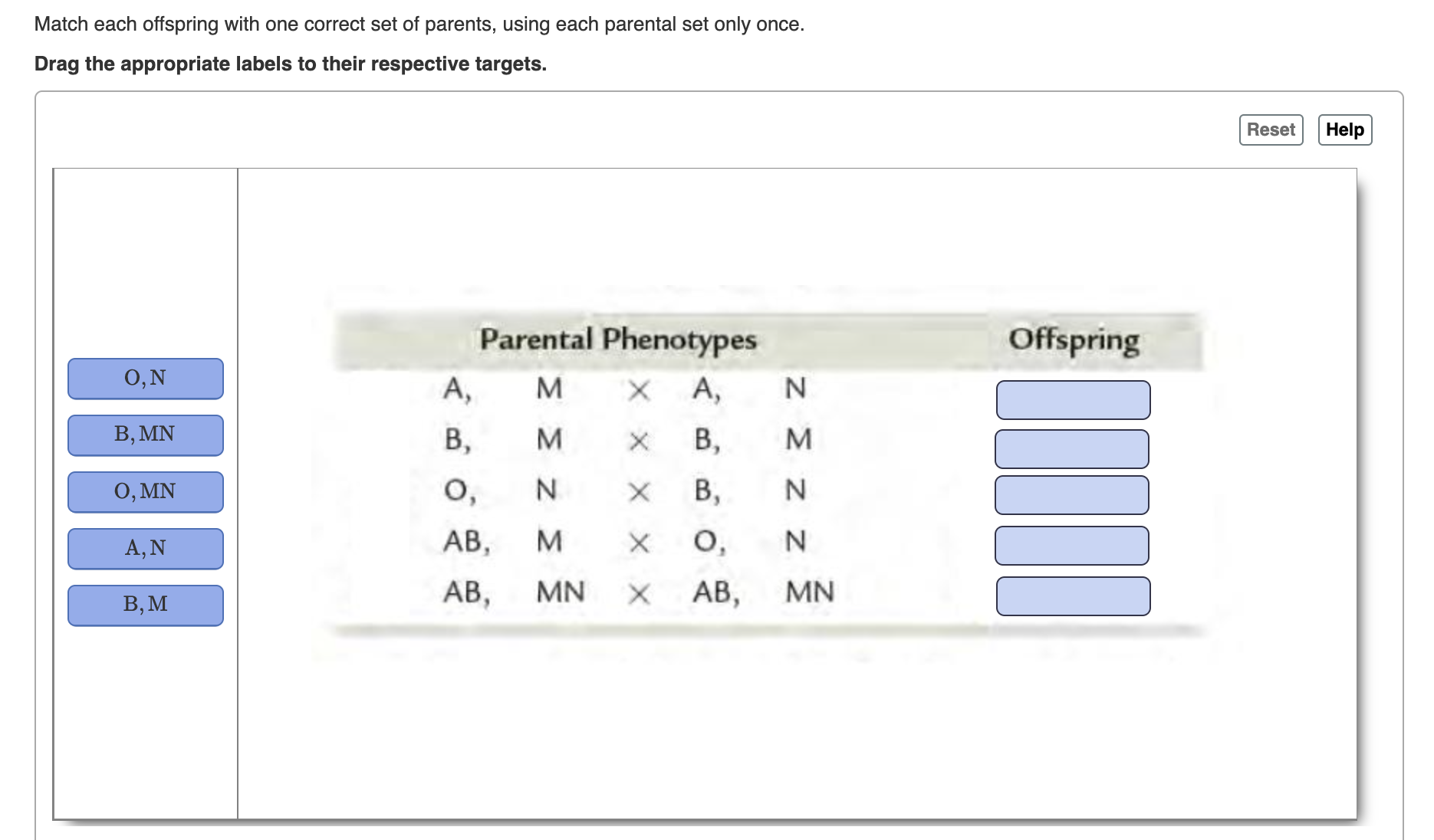 Solved Match each offspring with one correct set of parents, | Chegg.com
