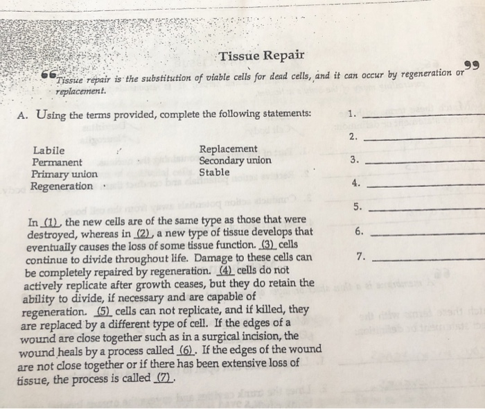 Solved Tissue Repair 66 Tissue repair is the substitution of | Chegg.com