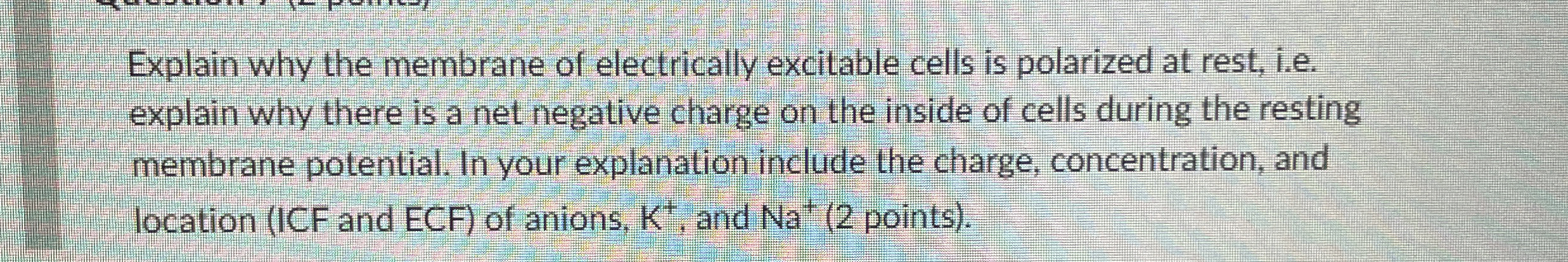 Solved Explain why the membrane of electrically excitable | Chegg.com