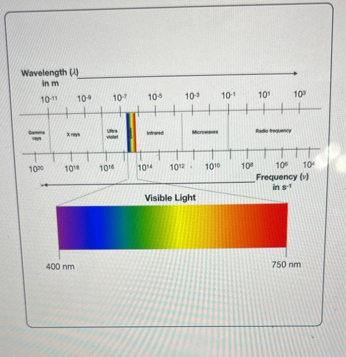 Solved what is the correct sequence for these types of | Chegg.com