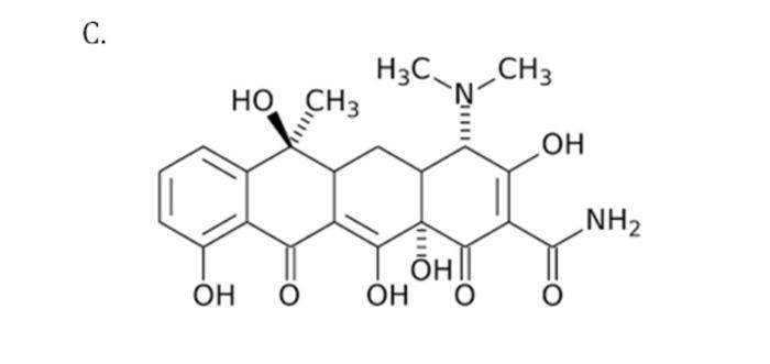 Using the molcule provided below answer the provided | Chegg.com