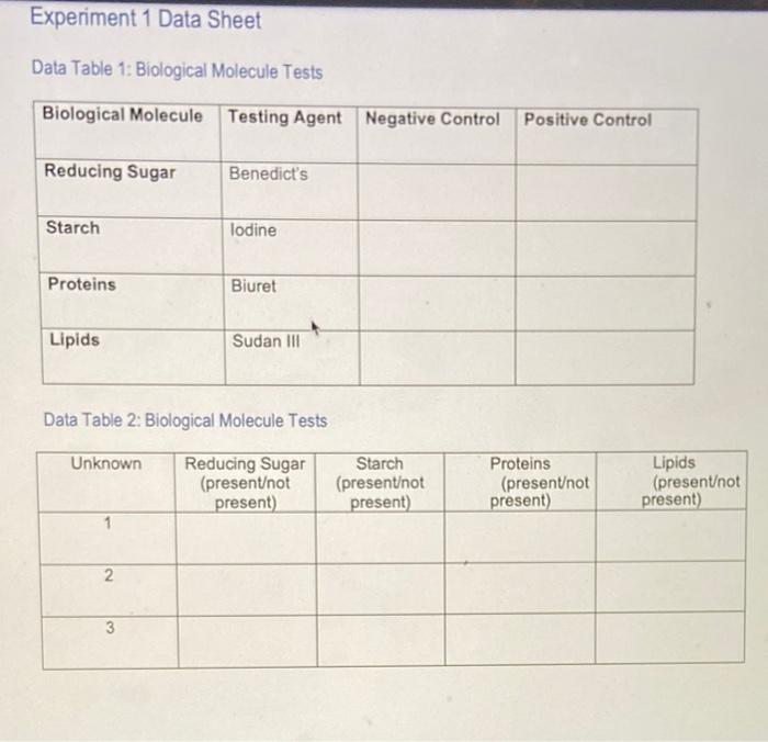 Solved In this experiment, you will observe positive and | Chegg.com