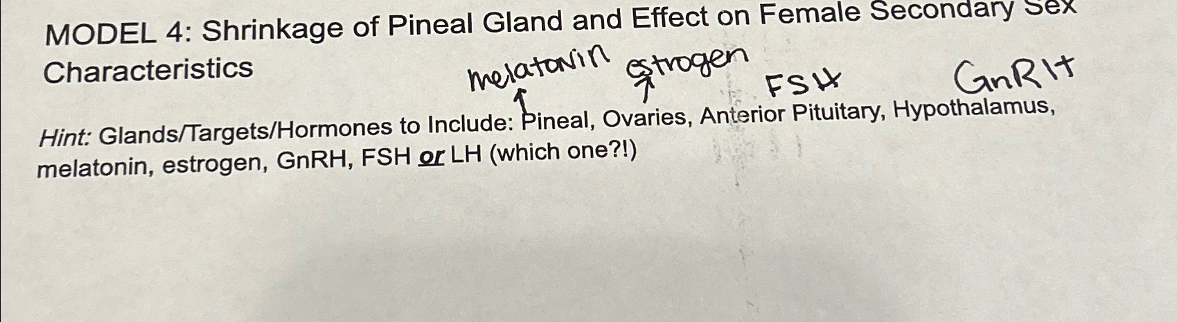 Solved MODEL 4: Shrinkage of Pineal Gland and Effect on | Chegg.com