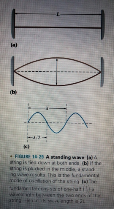 Solved The velocity of a wave in a string depends on the | Chegg.com