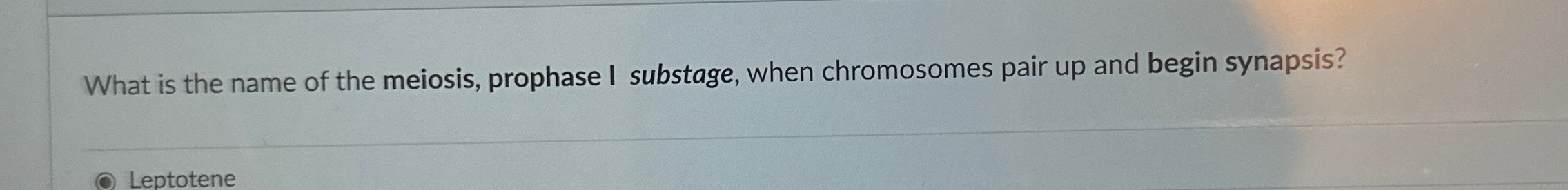 Solved What is the name of the meiosis, prophase I substage, | Chegg.com