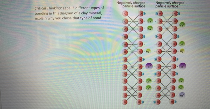 Solved Negatively charged particle surface Negatively | Chegg.com Solved Negatively charged particle surface Negatively | Chegg.com