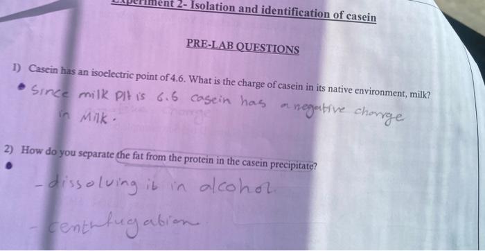 Solved 1) Casein has an isoelectric point of 4.6. What is | Chegg.com