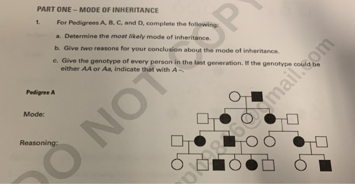 Solved PART ONE-MODE OF INHERITANCE 1. For Pedigrees A, B, | Chegg.com Solved PART ONE-MODE OF INHERITANCE 1. For Pedigrees A, B, | Chegg.com