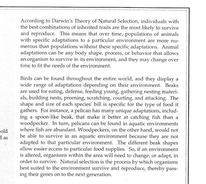 Solved Investigating Bird Beak Adaptations Lab Activity | Chegg.com