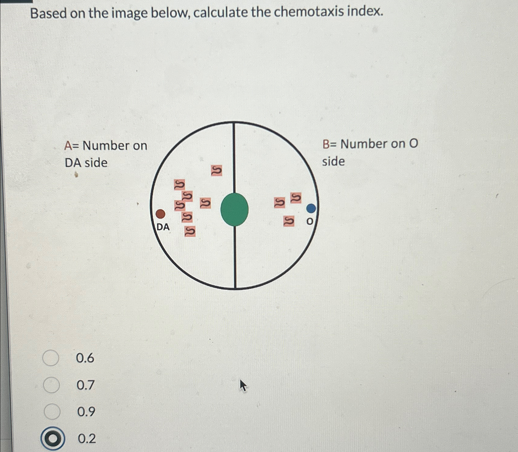Solved Based on the image below, calculate the chemotaxis | Chegg.com
