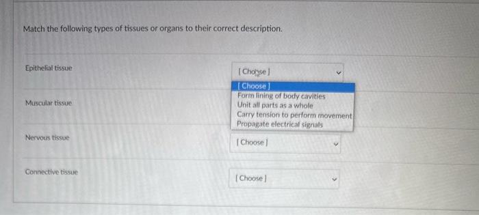 Solved Match the following types of tissues or organs to | Chegg.com