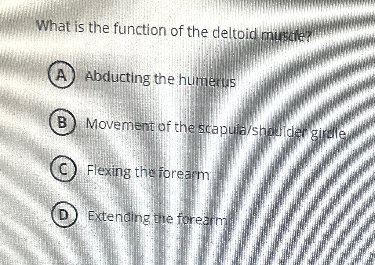Solved What is the function of the deltoid muscle?Abducting | Chegg.com