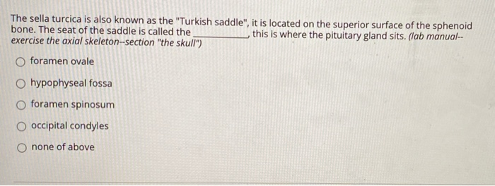 Solved The sella turcica is also known as the "Turkish | Chegg.com