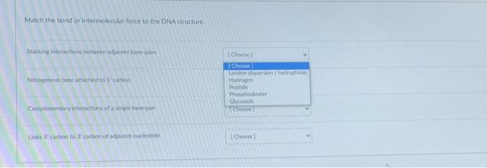 Solved Match the bond or intermolecular force to the DNA | Chegg.com