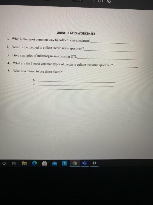 Solved URINE PLATES WORKSHEET 1. What is the most common way | Chegg.com