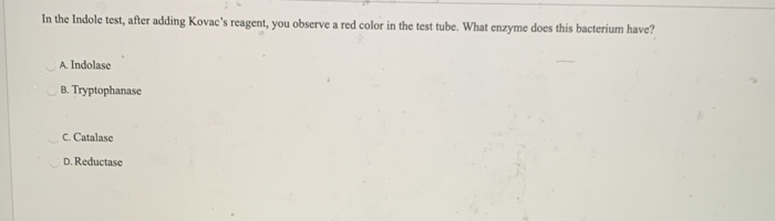 Solved In the Indole test, after adding Kovac's reagent, you | Chegg.com