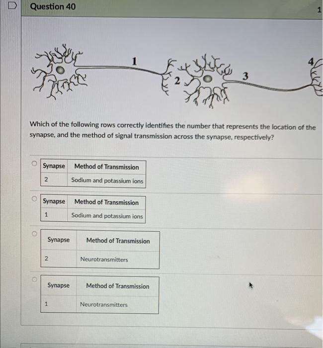 Solved Match the labelled synapse structure with the correct | Chegg.com