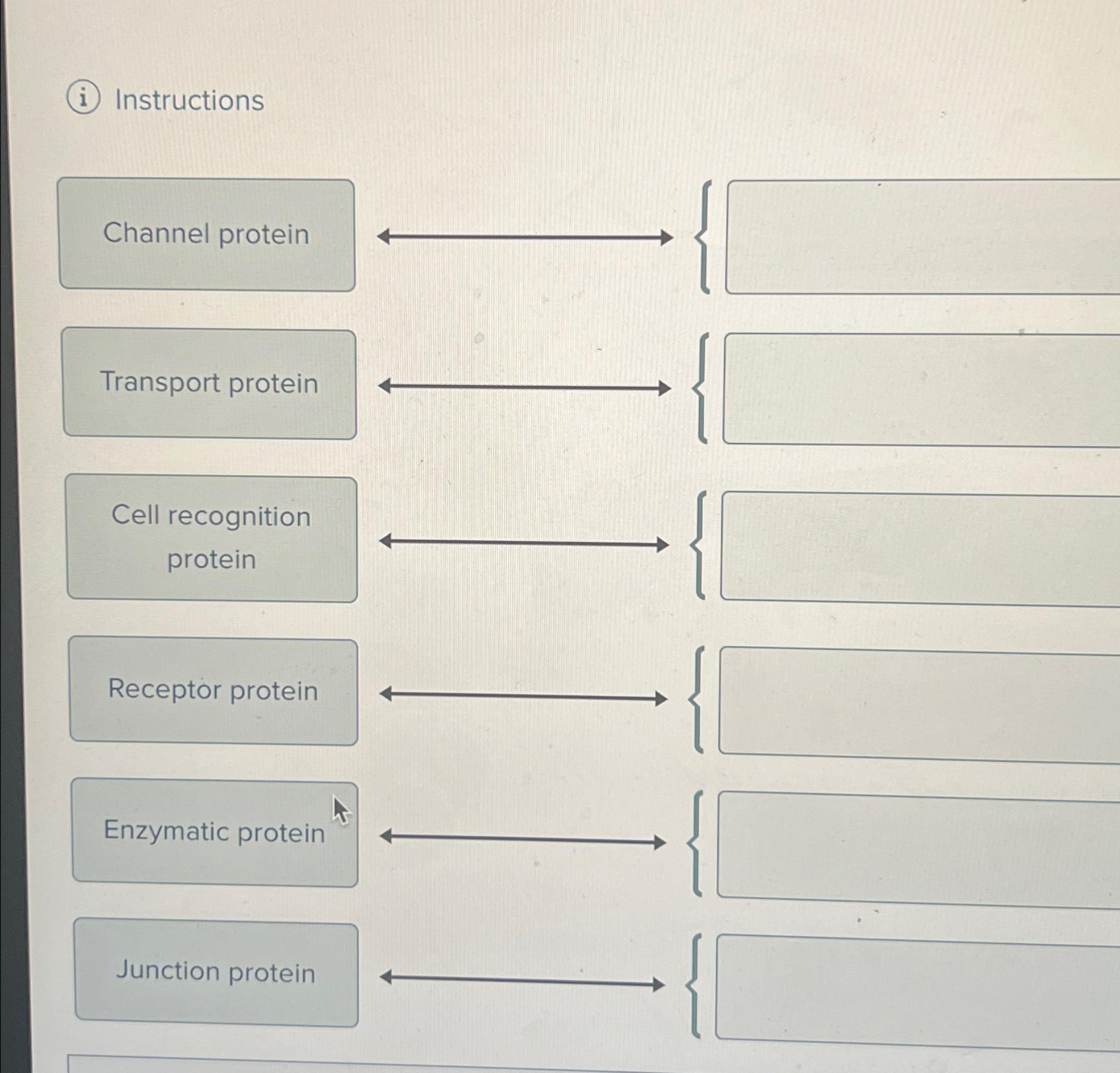 Solved match the protein with its function | Chegg.com