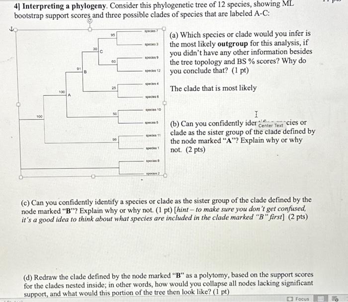 Solved 4] Interpreting a phylogeny. Consider this | Chegg.com