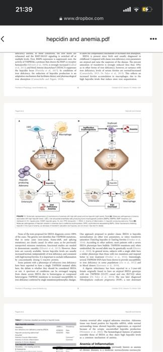 Solved according to this article Why do patients with IRIDA | Chegg.com