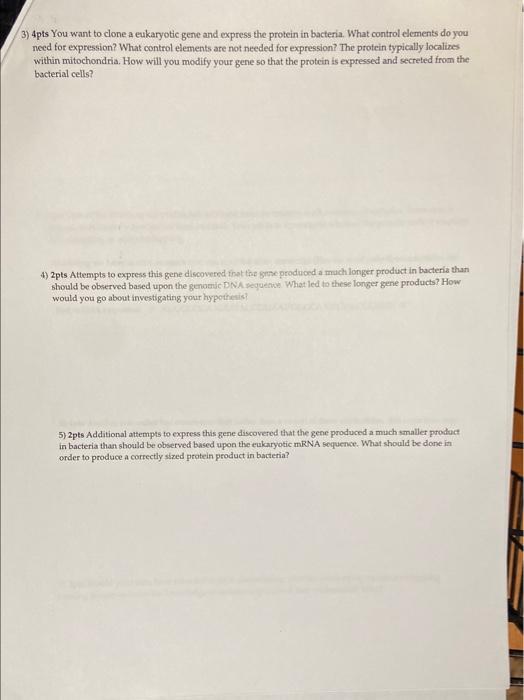 Solved 3) 4pts You want to clone a eukaryotic gene and | Chegg.com