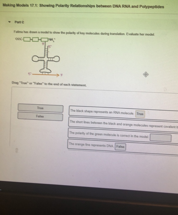 Solved fatima has drawn a model to show polarity of key | Chegg.com