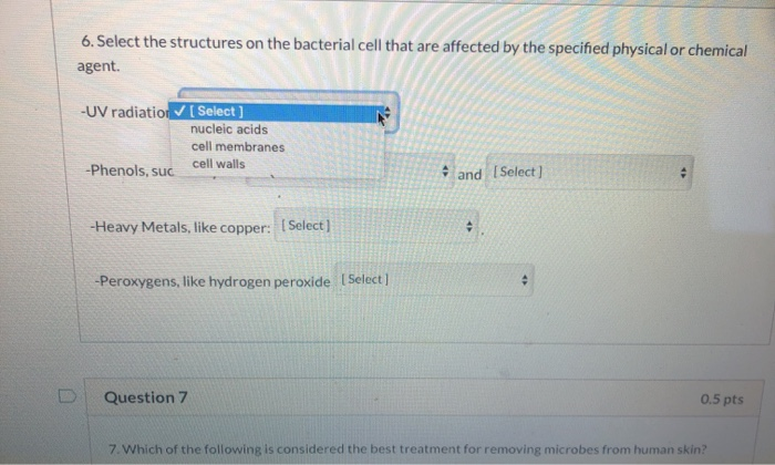 Solved 6. Select the structures on the bacterial cell that | Chegg.com