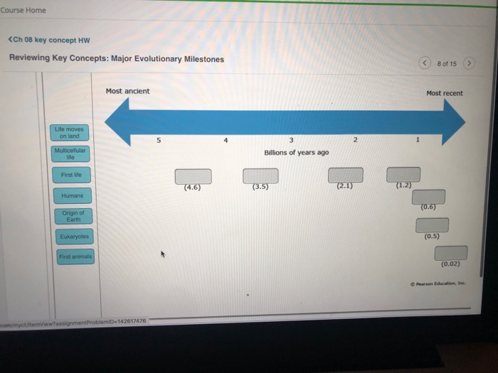 Solved: This Is All The Information Given, You Just Have T... | Chegg.com