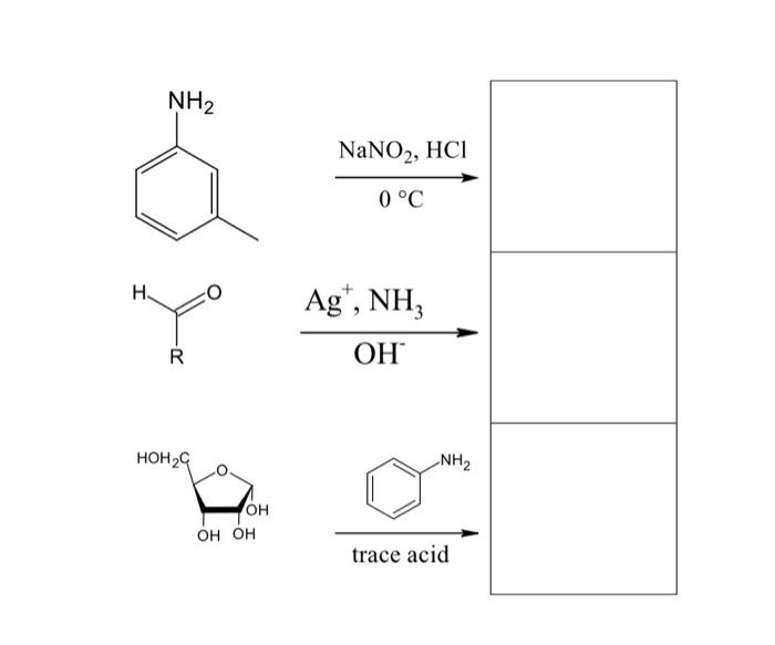 Solved OH− Ag+,NH3 | Chegg.com