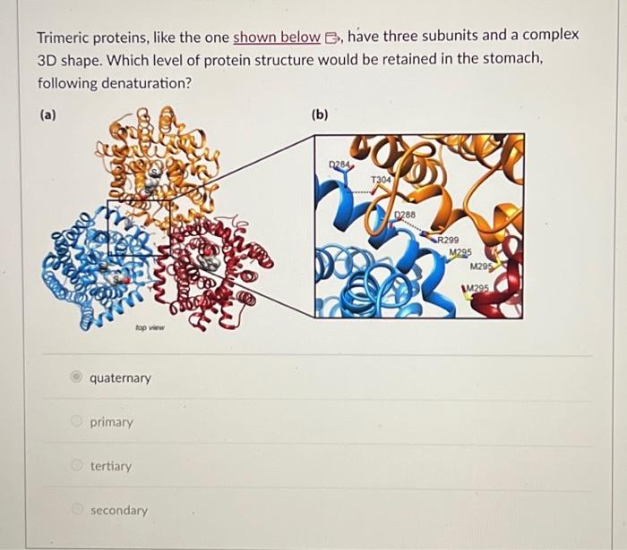 Solved Trimeric proteins, like the one shown below Θ, have | Chegg.com