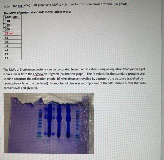 Name: SDS-PAGE Lab short report Each question has 4 | Chegg.com