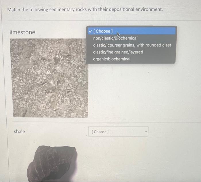 Solved Match the following sedimentary rocks with their | Chegg.com