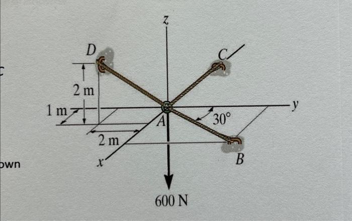 Solved Please draw the free body diagram. thanks draw the | Chegg.com