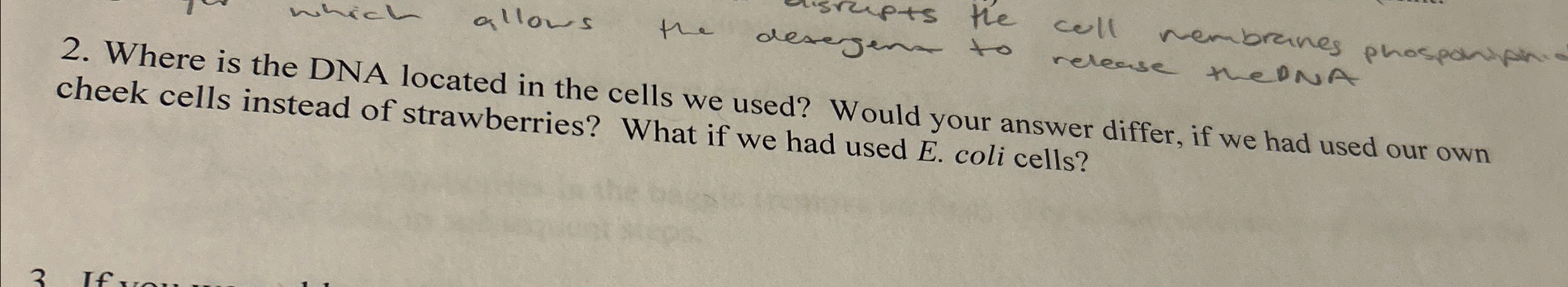 Solved Where is the DNA located in the cells we used? Would | Chegg.com