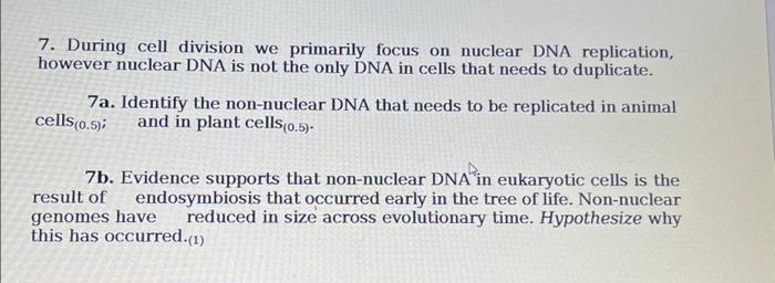 Solved 7. During cell division we primarily focus on nuclear | Chegg.com