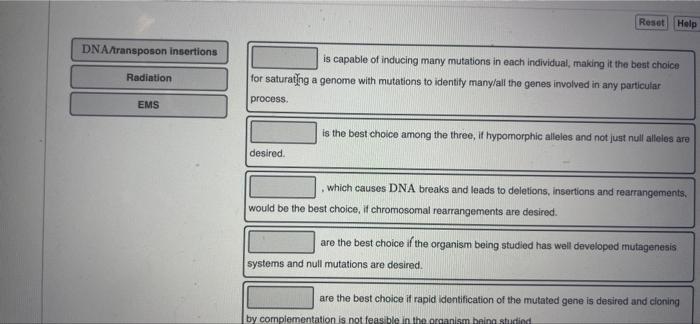 Solved Rut Help DNA reportione Radian tie of inducing many | Chegg.com