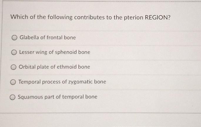 Solved Which of the following contributes to the pterion | Chegg.com