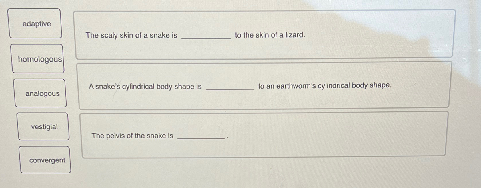 Solved adaptiveThe scaly skin of a snake is to the skin of a | Chegg.com